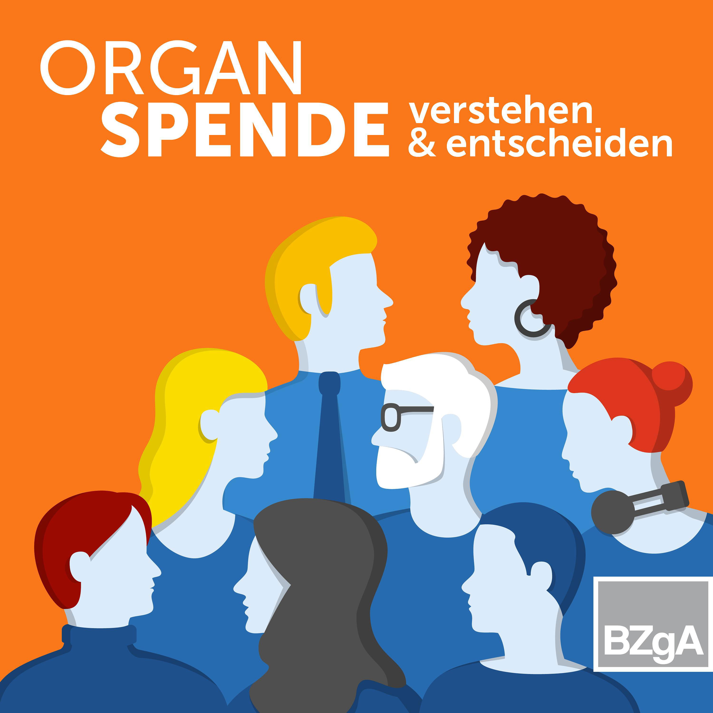 Organspende - verstehen & entscheiden